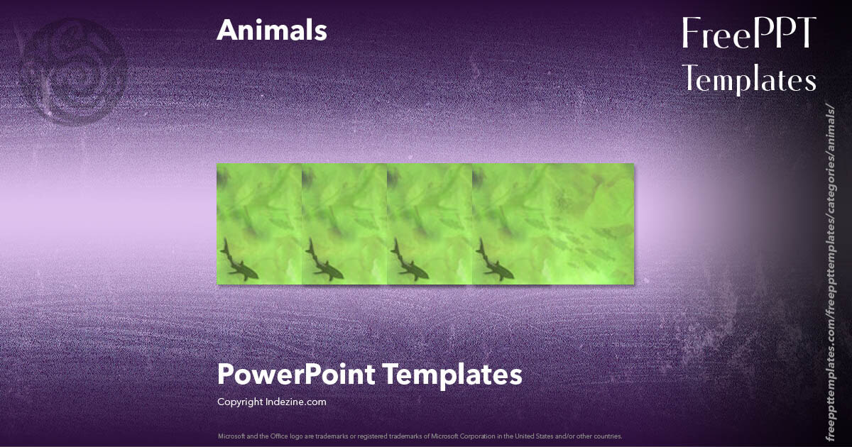 Animals PowerPoint Templates
